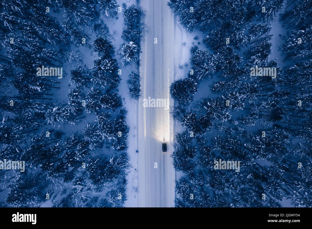 Night time aerial view of snowy road in pine tree forest in winter ...