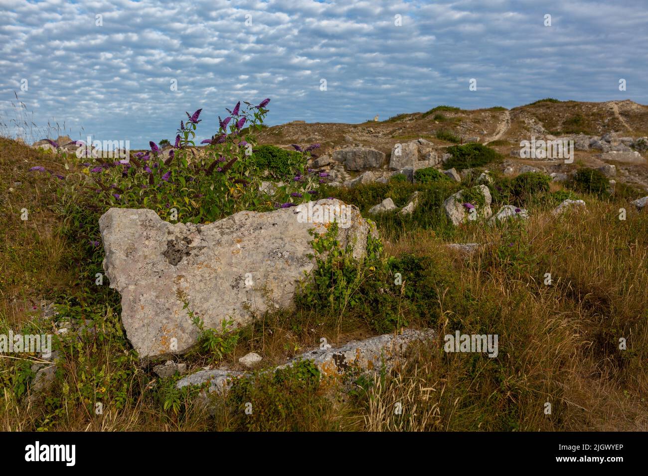 King Barrow Quarry, Tout Quarry Stock Photo - Alamy
