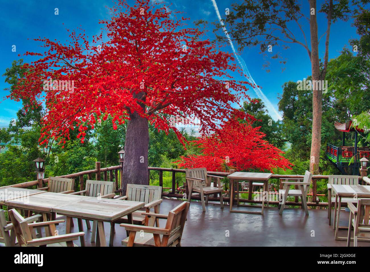 Plastic trees with artificial bright red blossoms made of silk on a ...