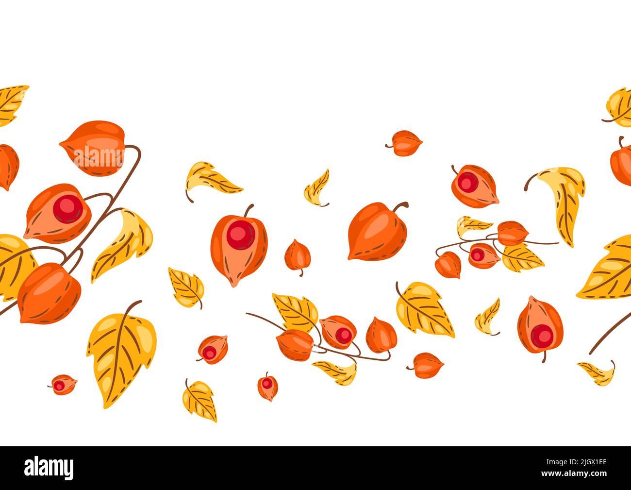 Seamless pattern of fesalis with berries. Image of seasonal autumn ...