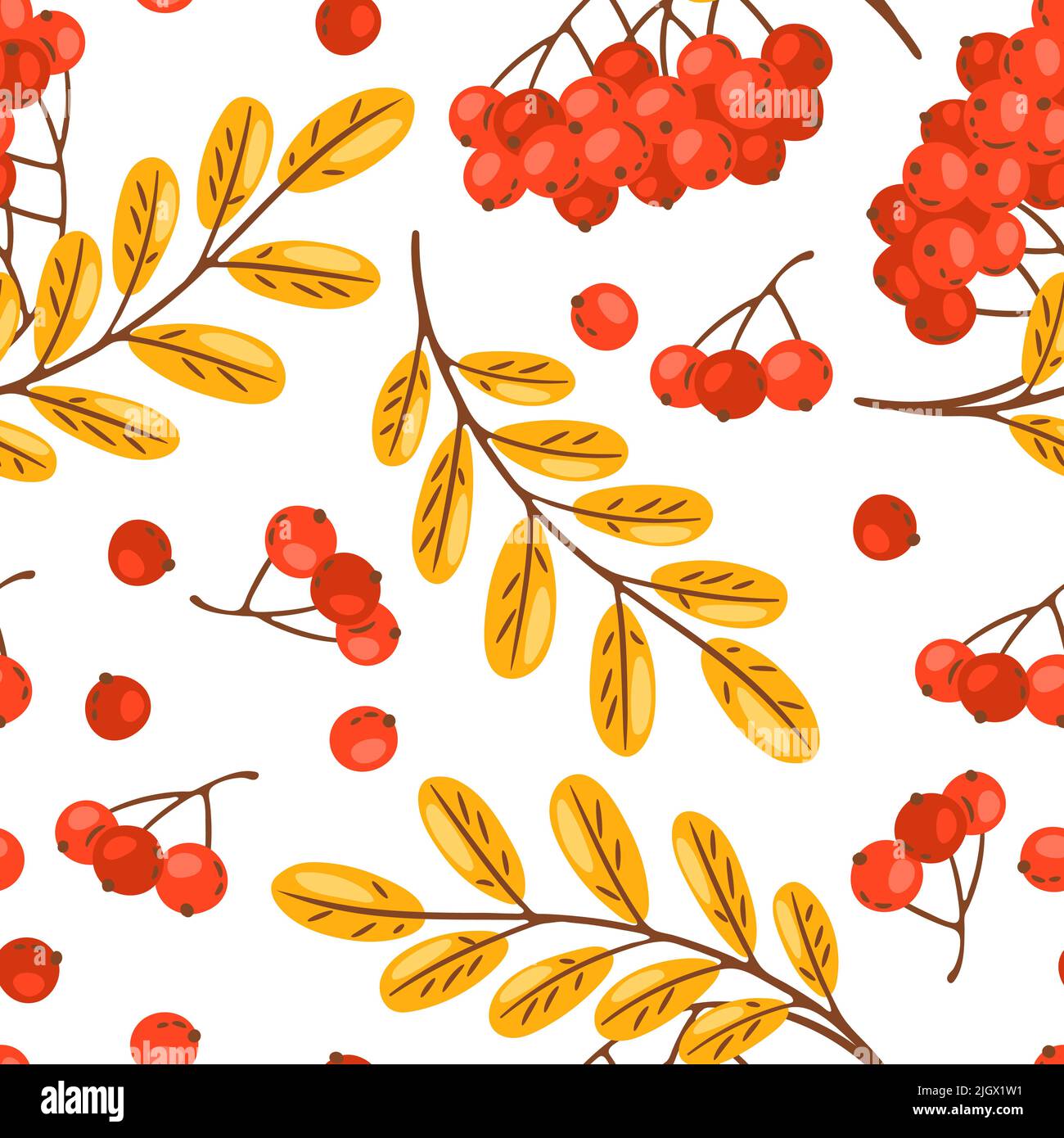 Seamless pattern of rowan with berries. Image of seasonal autumn plant ...