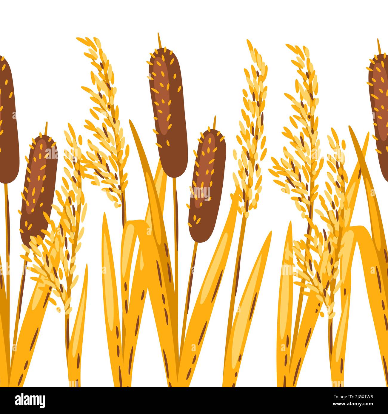 Seamless pattern of bulrush or reed. Image of seasonal autumn plant ...
