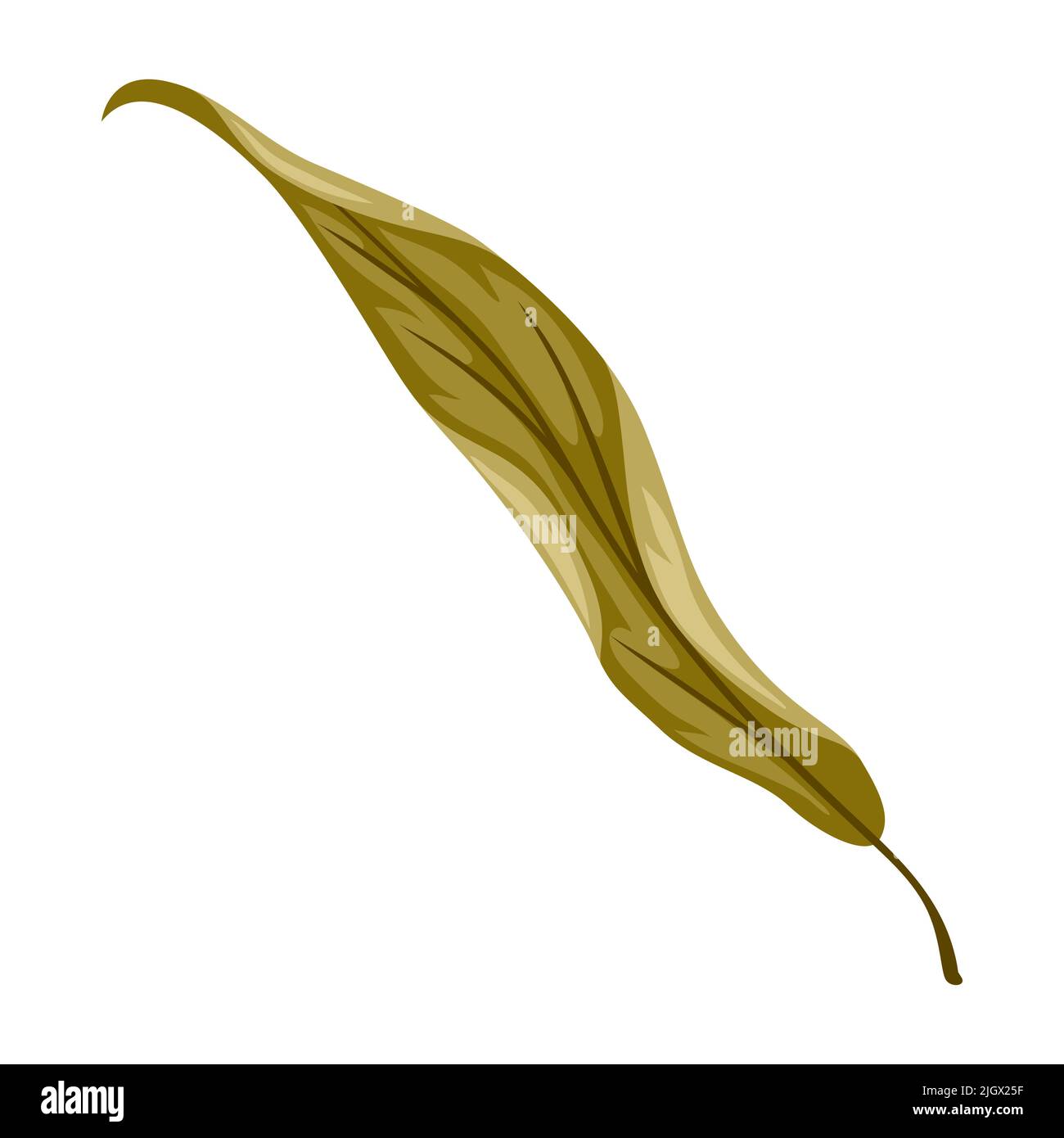 Illustration of willow chestnut leaf. Stylized seasonal dry plant Stock ...