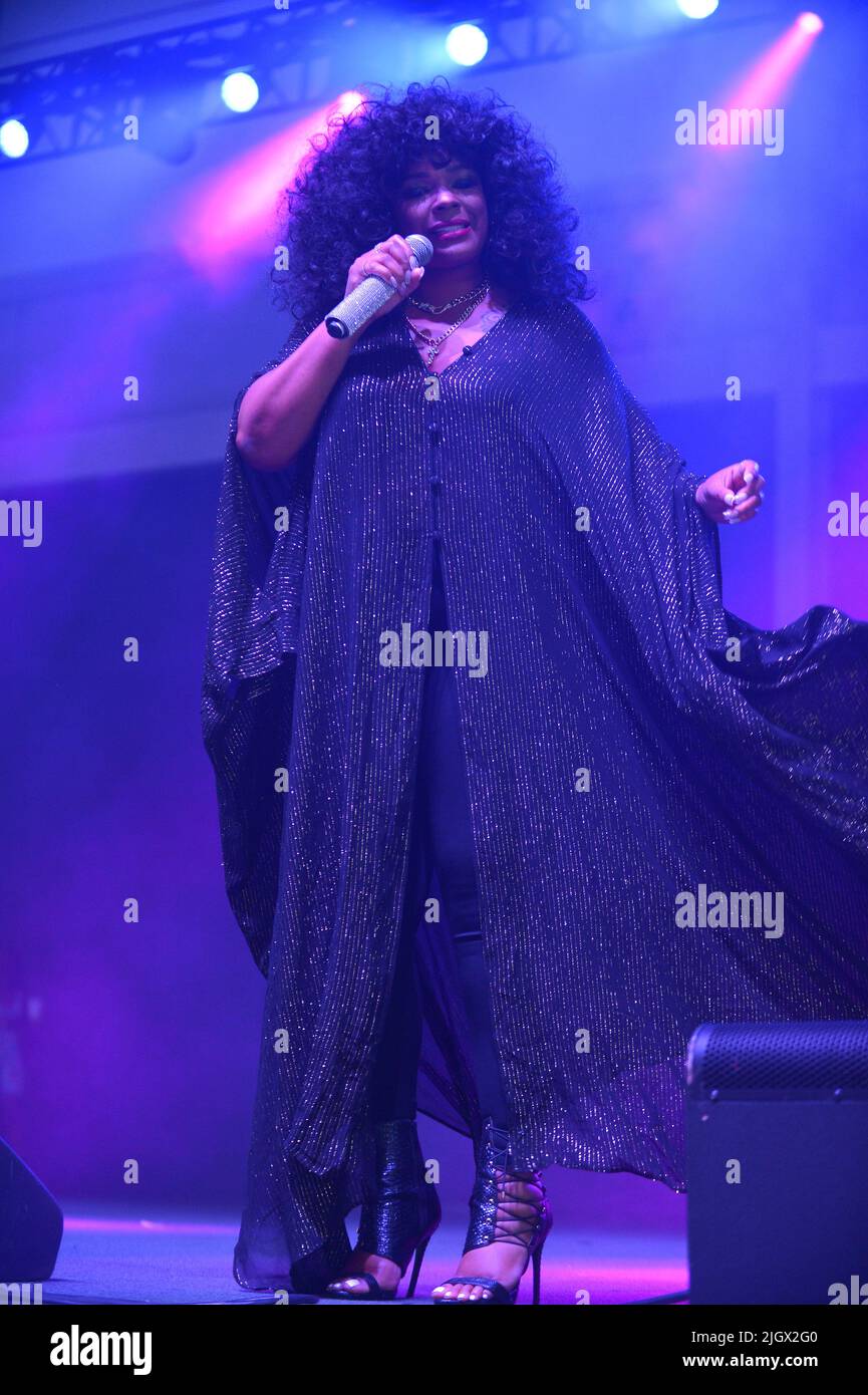 MIRAMAR, FL - JULY 10: Syleena Johnson performs live on stage during ...