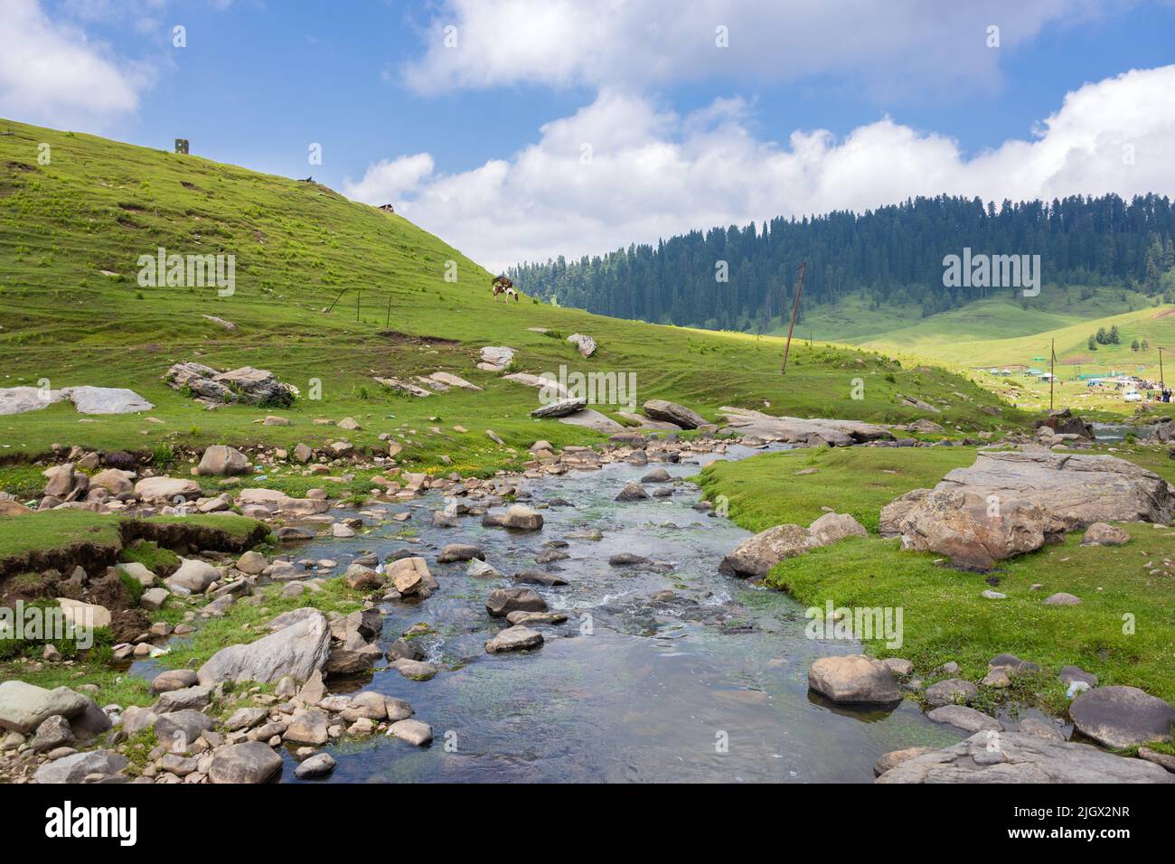 Gulmarg wildlife sanctuary hi-res stock photography and images - Alamy