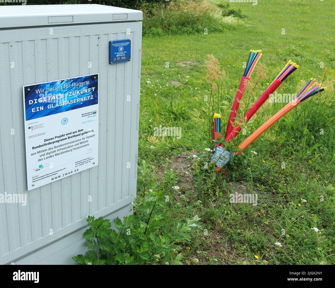 Capped fibre optic cables sticking out above the ground near a ...