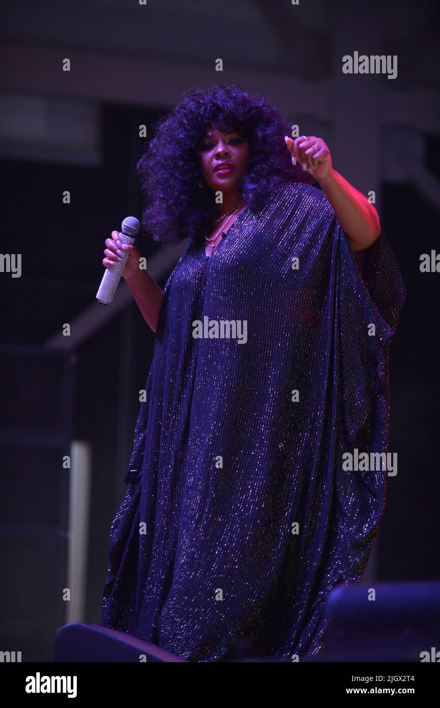 MIRAMAR, FL - JULY 10: Syleena Johnson performs live on stage during ...