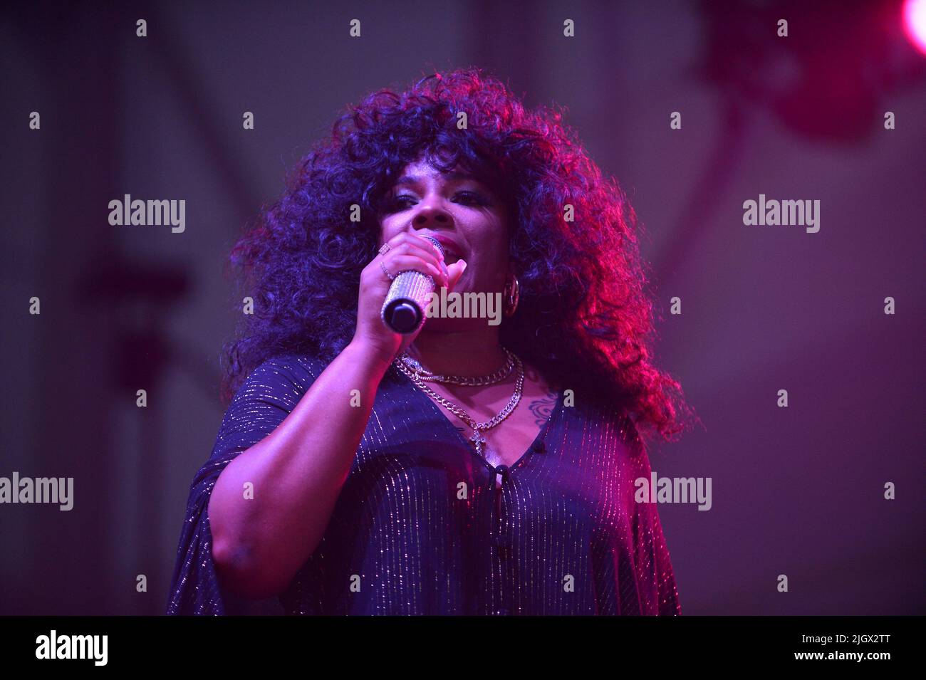 MIRAMAR, FL - JULY 10: Syleena Johnson performs live on stage during ...