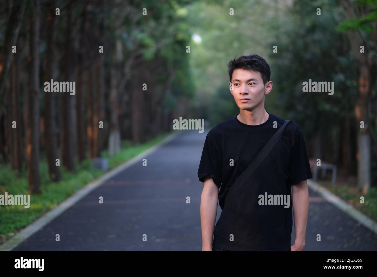 portrait of one handsome Chinese young man in natural forest park Stock ...