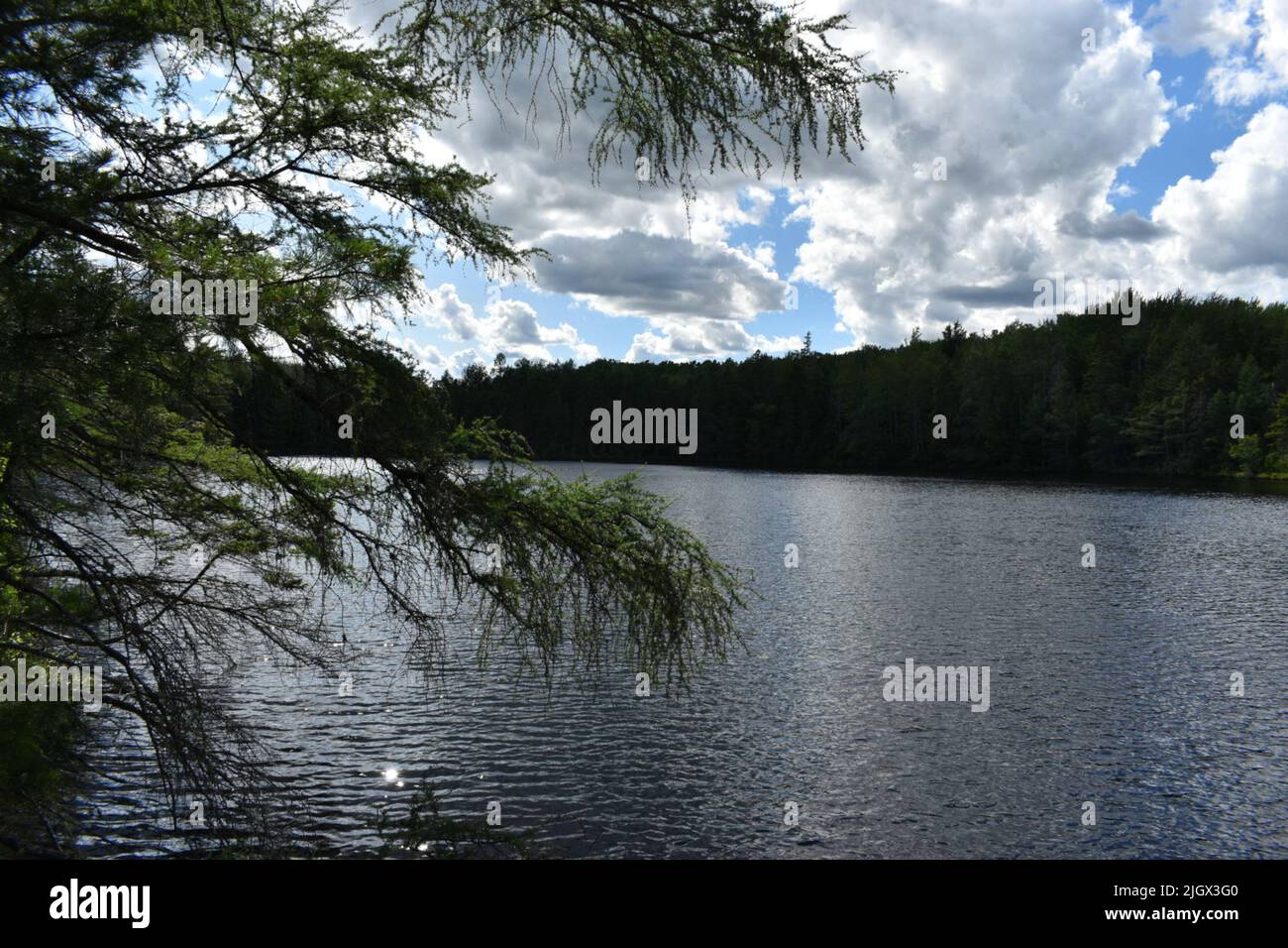 A landscape view of the lake at Parc ecoforestier de Johnville, Estrie ...