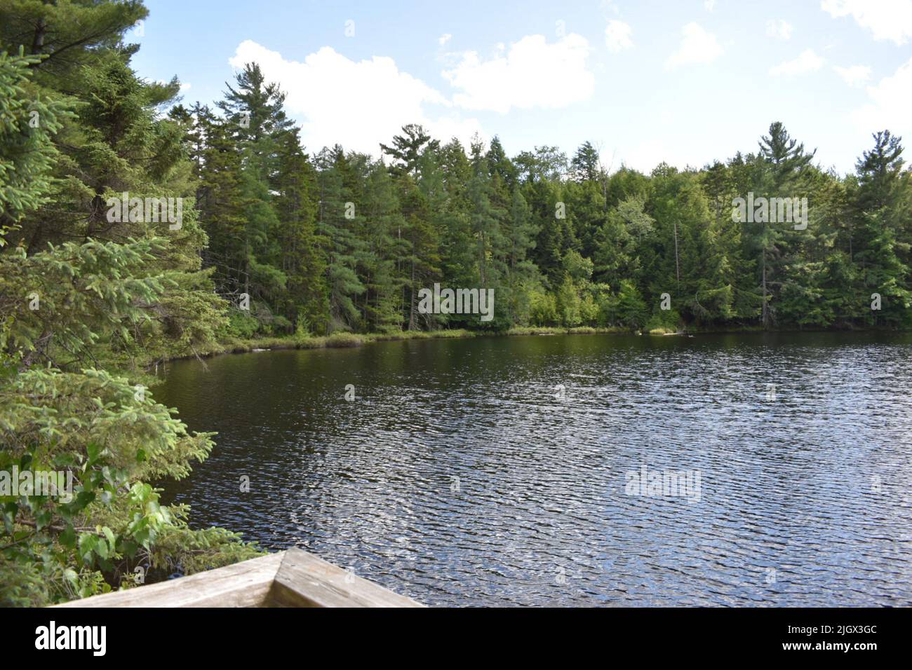 A landscape view of the beautiful lake at Parc ecoforestier de ...
