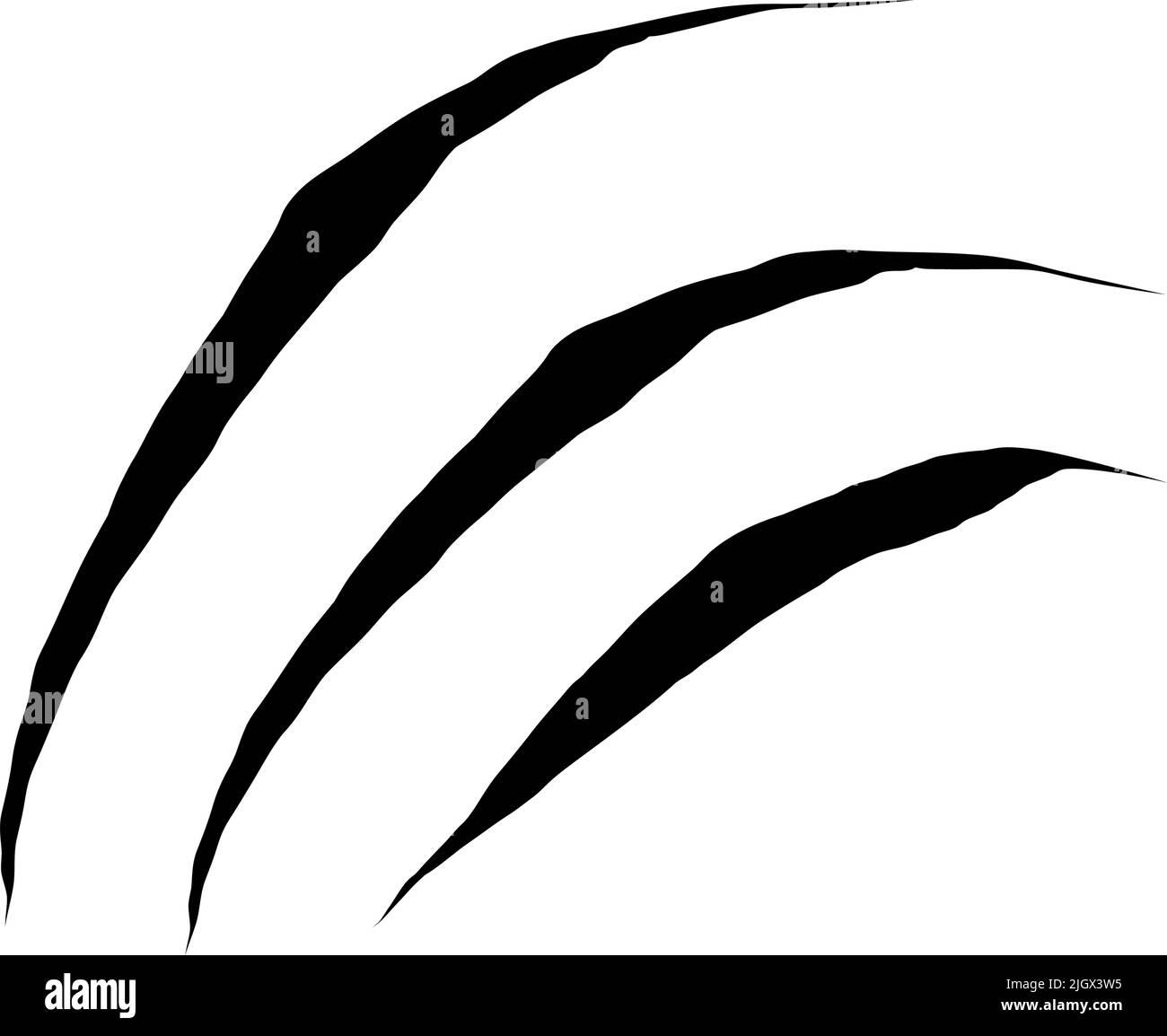 Cat scratches. Black claws animal scratch, Torn paper. Cat claws trace ...