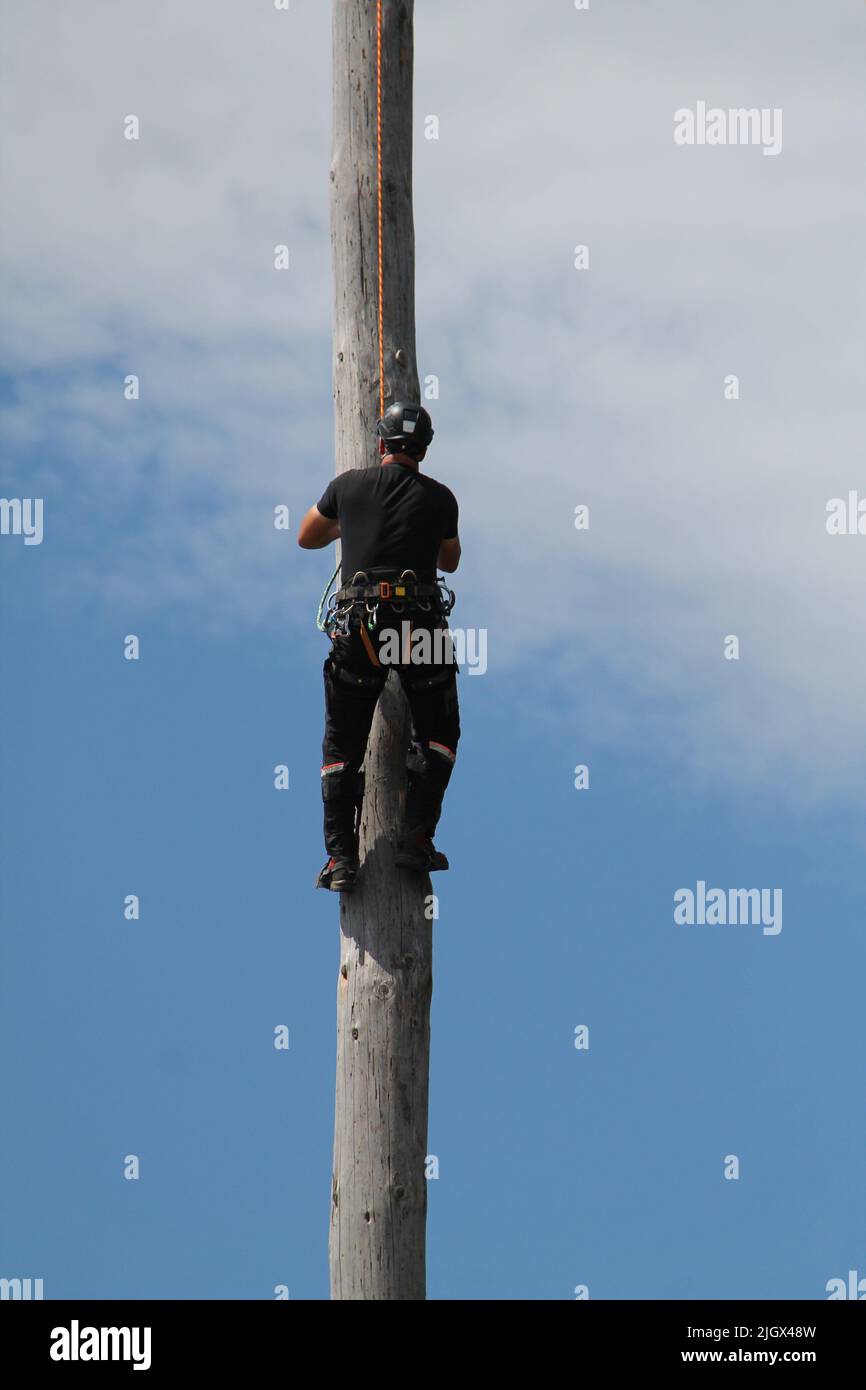 A Lumberjack Climbing a Vertical Wooden High Pole Stock Photo - Alamy
