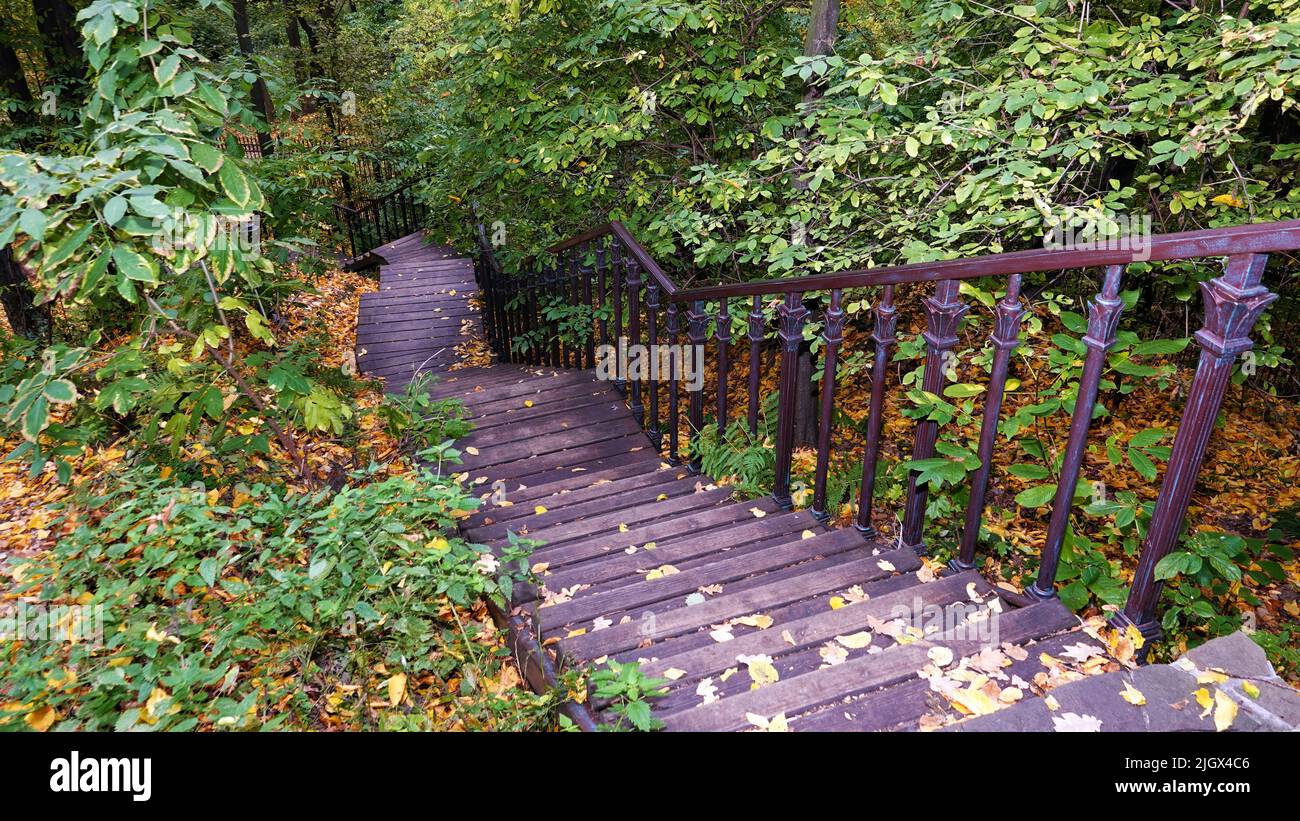 Vertical wooden staircase with wrought iron railing in the autumn ...