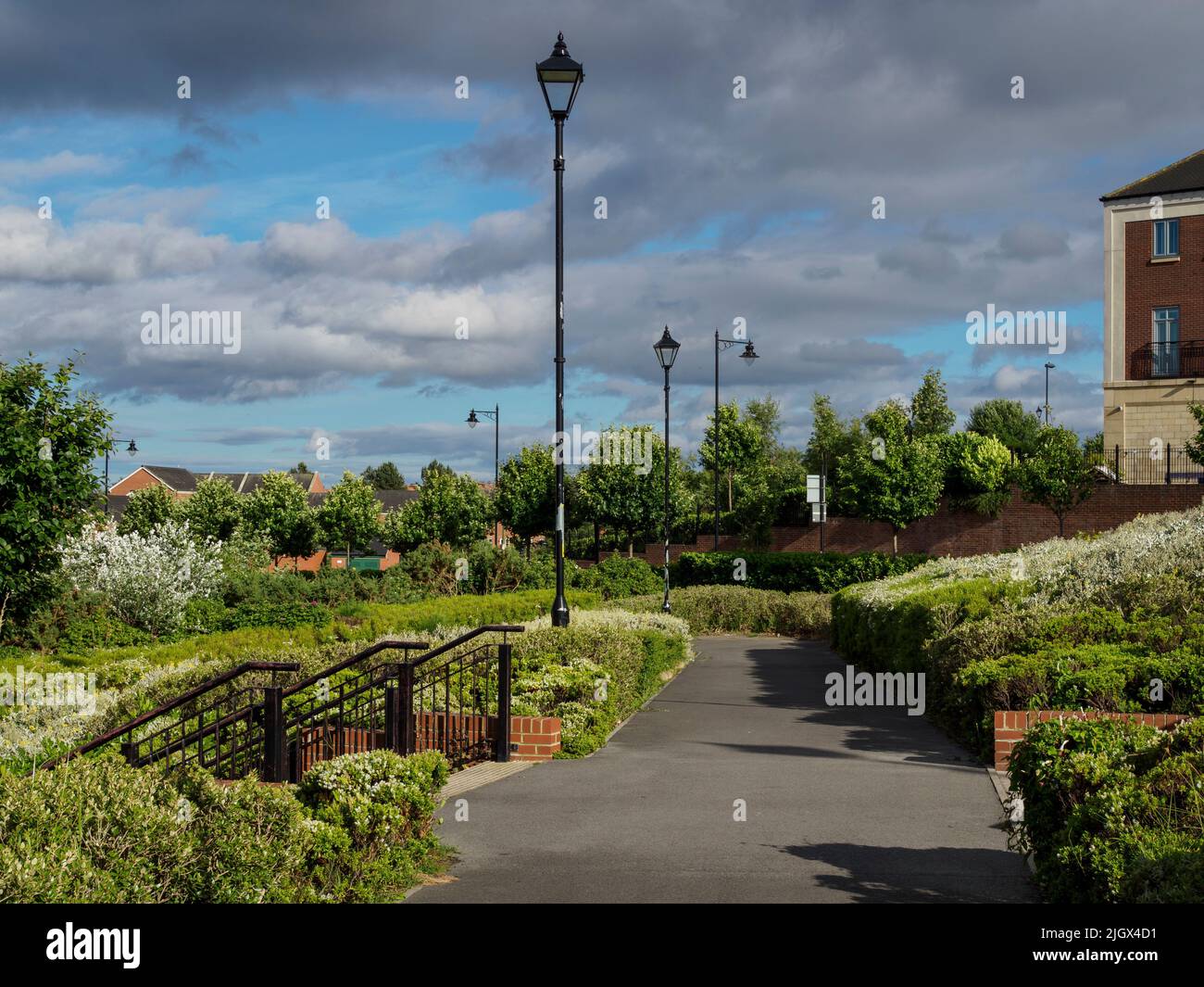 A beautiful park view with an asphalt road and green nature in cloudy ...