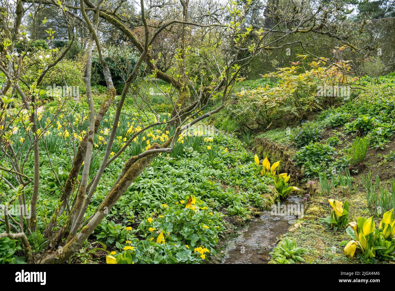 Hidcote Manor, National Trust, world renowned heritage garden, Hidcote ...
