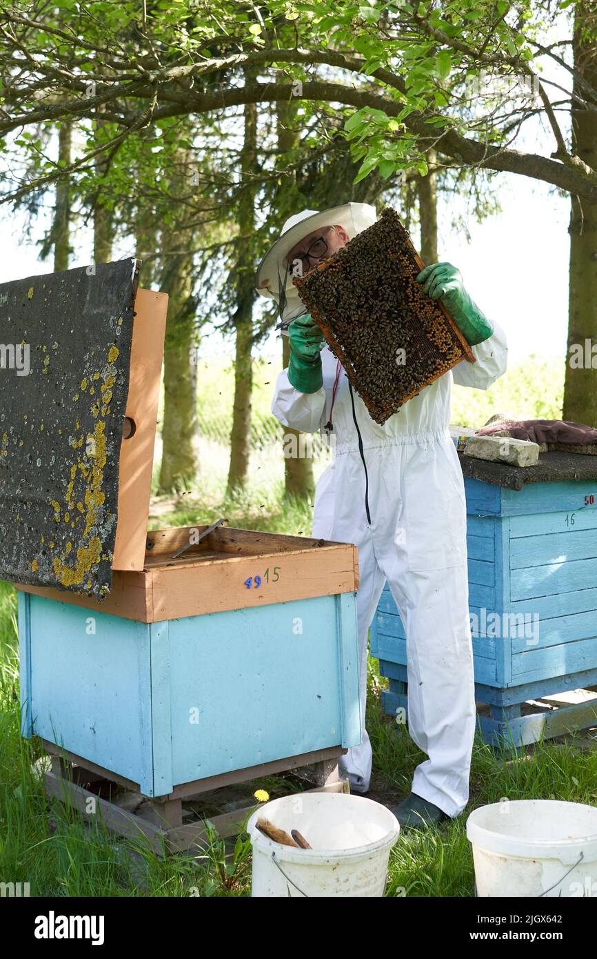 Vertical photo of a beekeeper working on a farm Stock Photo - Alamy