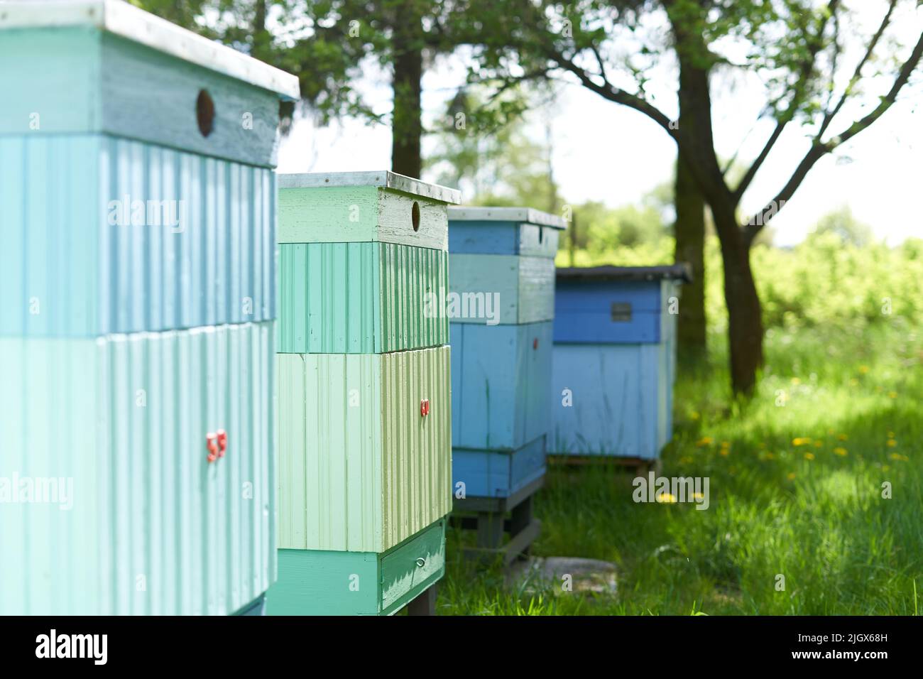 Set of beehives on a rural area Stock Photo - Alamy