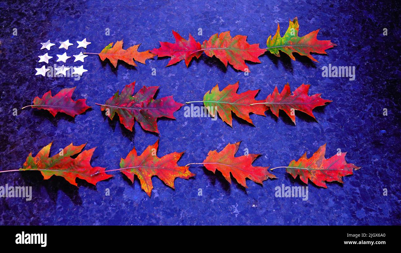 Yellow leaves in the shape of a flag Stock Photo - Alamy