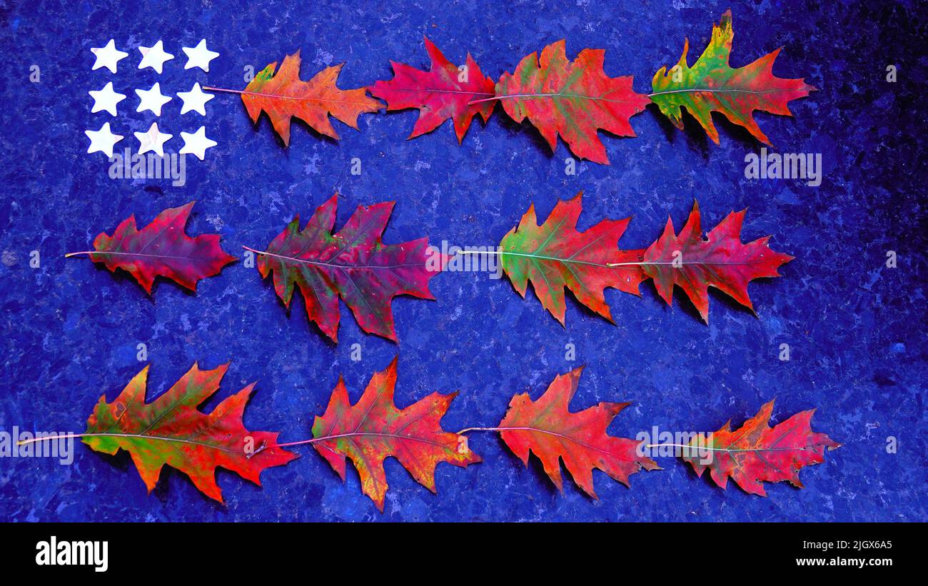 Yellow leaves in the shape of a flag Stock Photo - Alamy