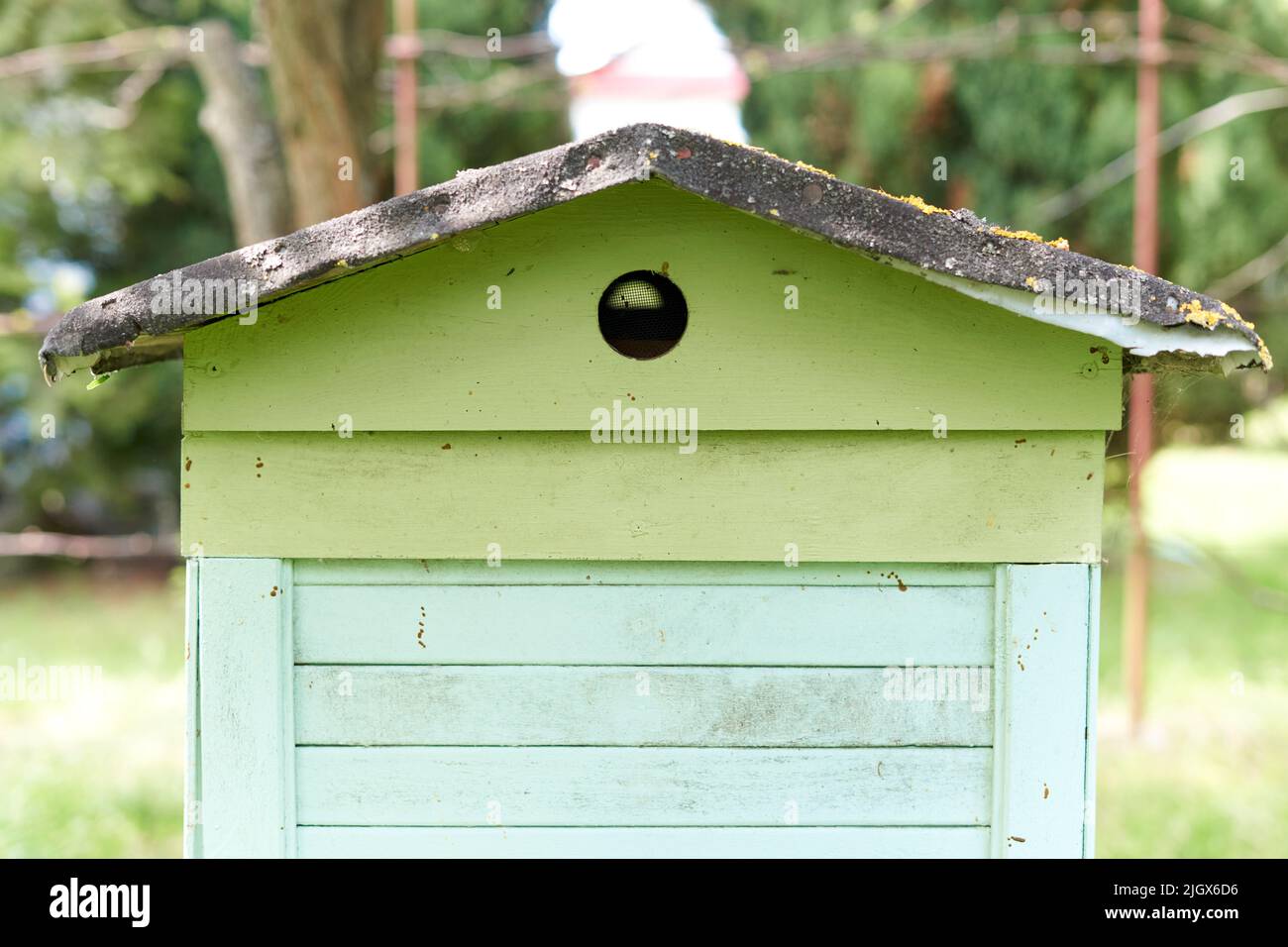 Artificial hive of bees on a farm Stock Photo - Alamy
