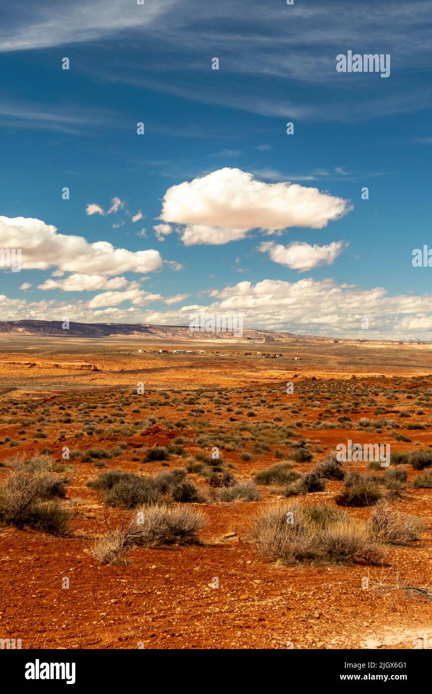 Vegetation surviving in red soil in the desert, Wahweap lookout, Page ...