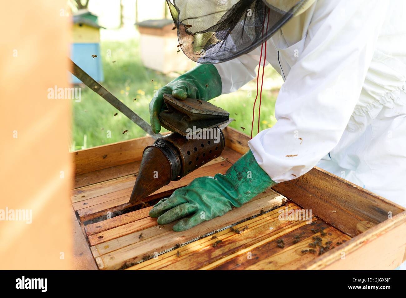 Man made bee hive hi-res stock photography and images - Alamy