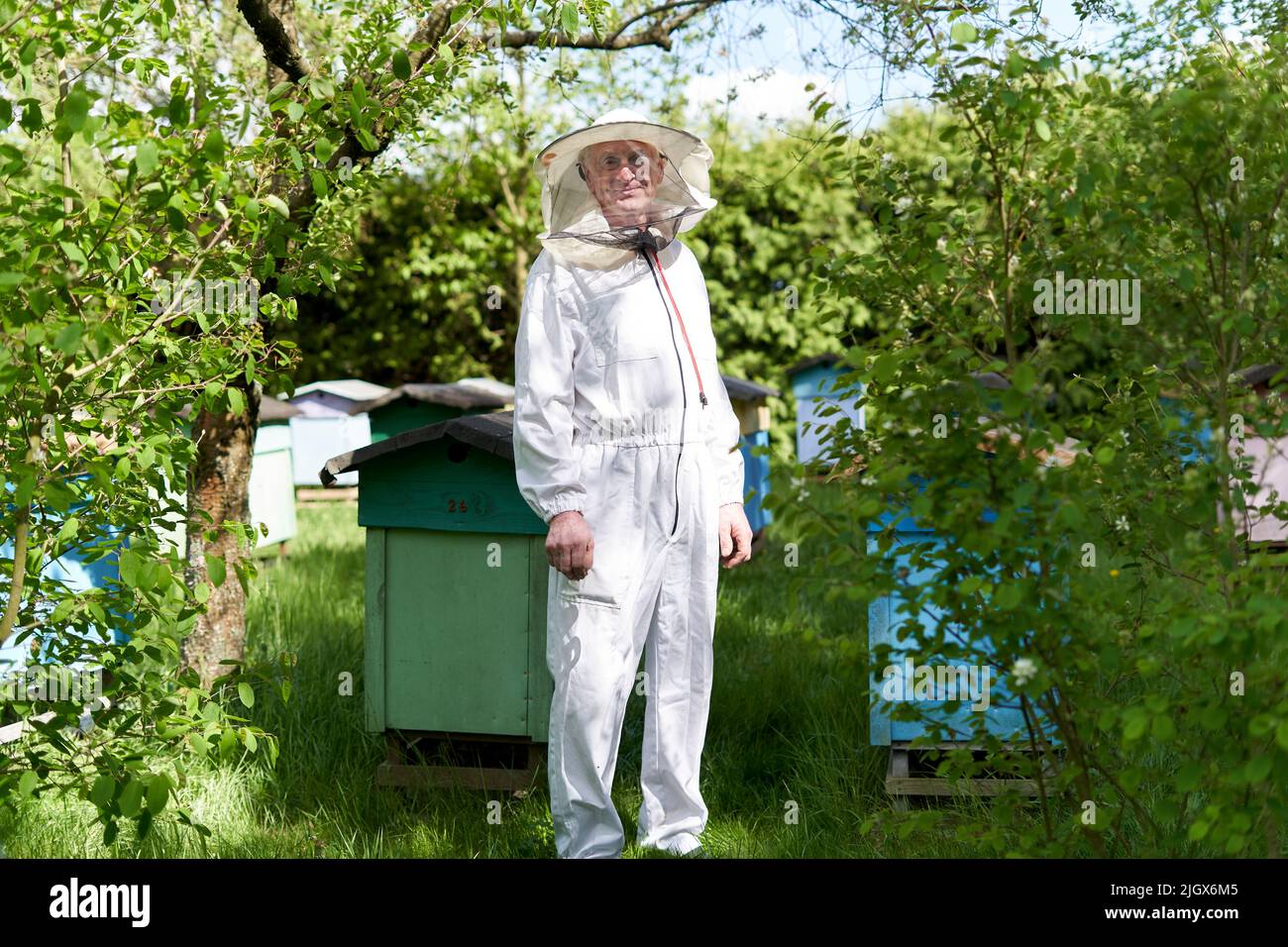 Old beekeeper standing next to artificial bee hives Stock Photo - Alamy