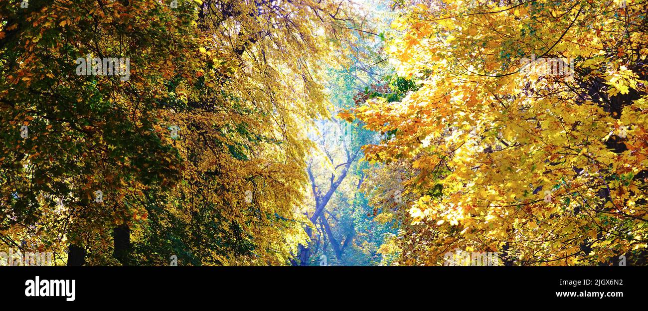 Autumn Park Kiev Ukraine Stock Photo - Alamy