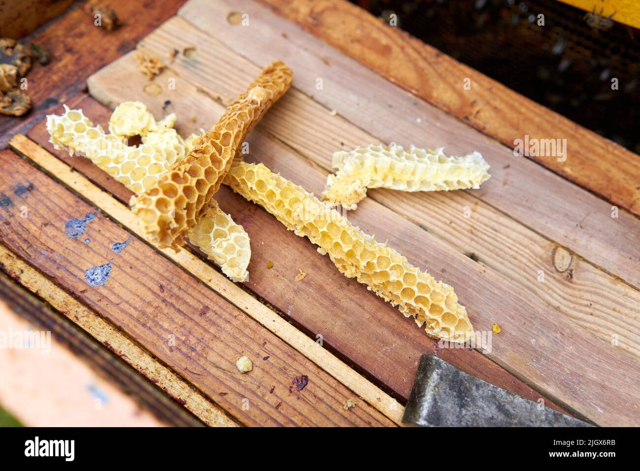 Pieces of bee hives on a wood surface Stock Photo - Alamy