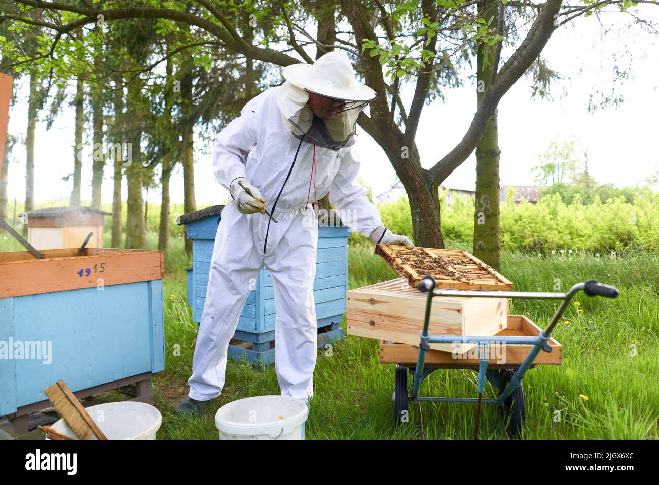 Beekeeper working in a garden of a farm Stock Photo - Alamy