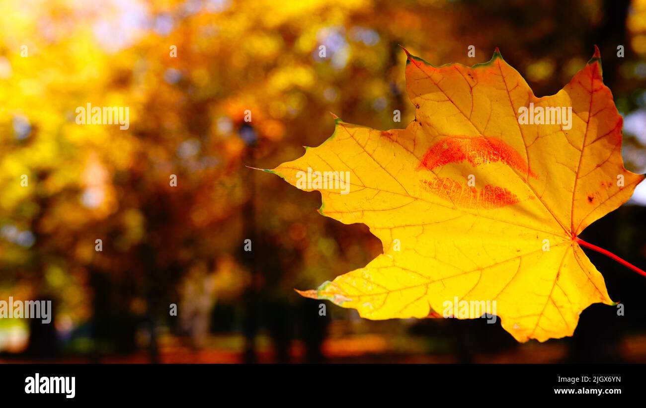 Autumn leaf with a kiss - a kiss of autumn Stock Photo - Alamy