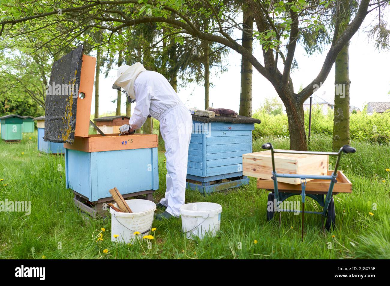 Bee protective gear hi-res stock photography and images - Alamy