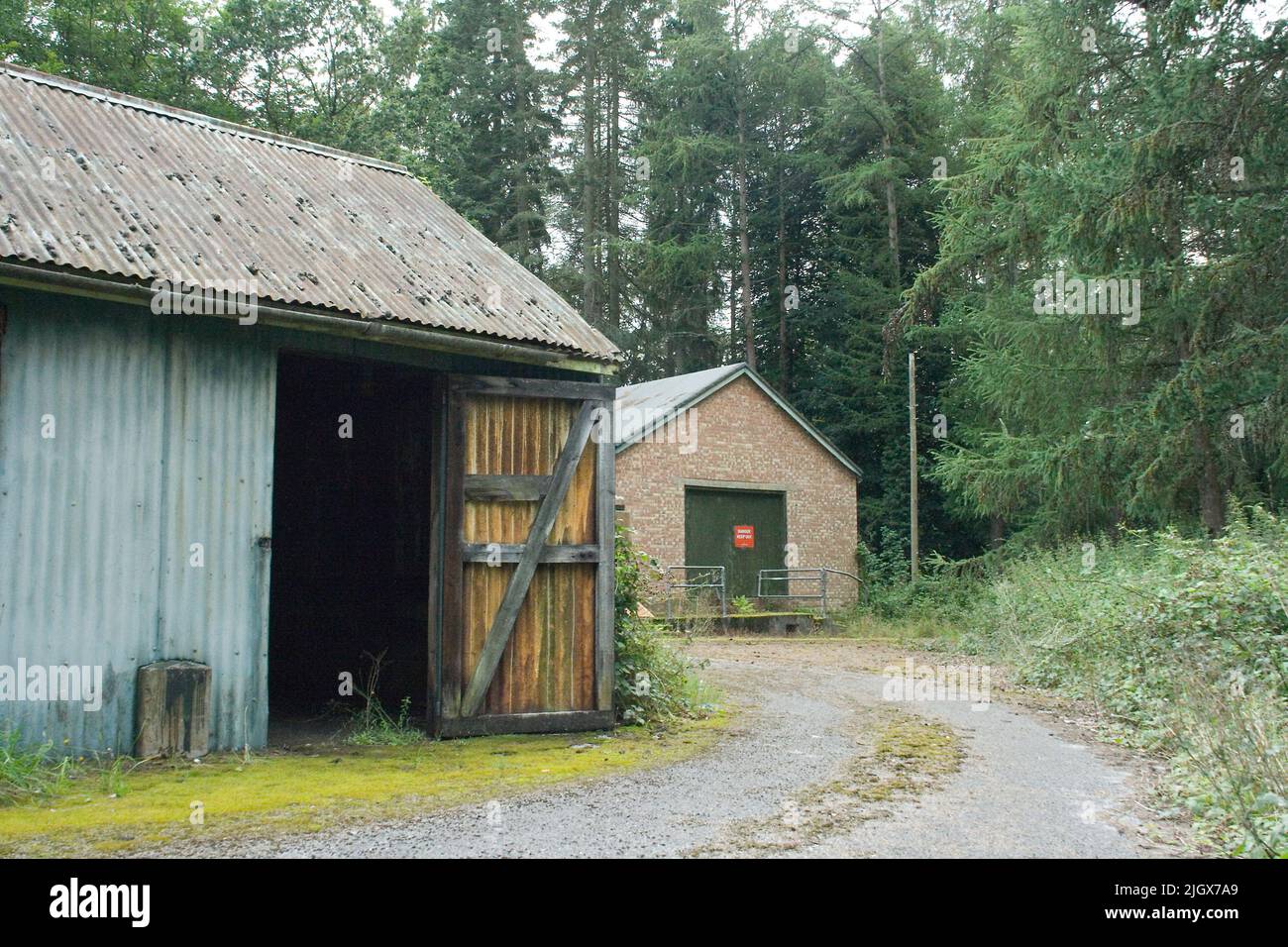 A derelict and abandoned old garage in a forest along a pathway Stock ...