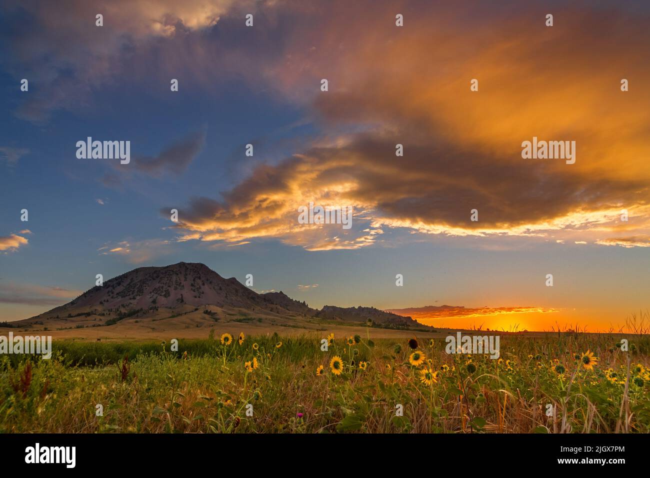 Bear butte hi-res stock photography and images - Alamy