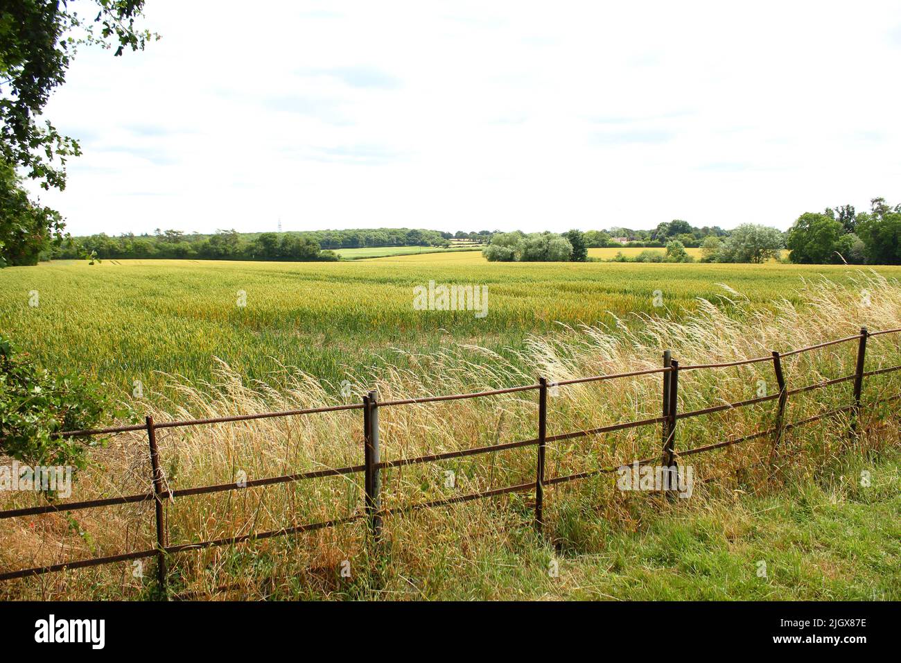 Brickendonbury Estate, home of the laboratories of the Tun Abdul Razak ...