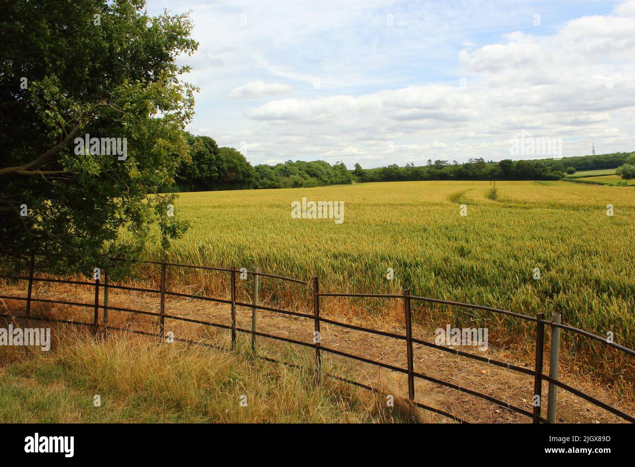 Brickendonbury Estate, home of the laboratories of the Tun Abdul Razak ...