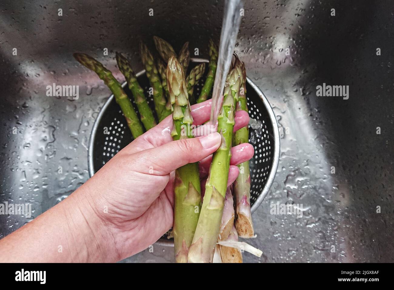 Womans hands wash fresh green asparagus sprouts in strainer in kitchen ...