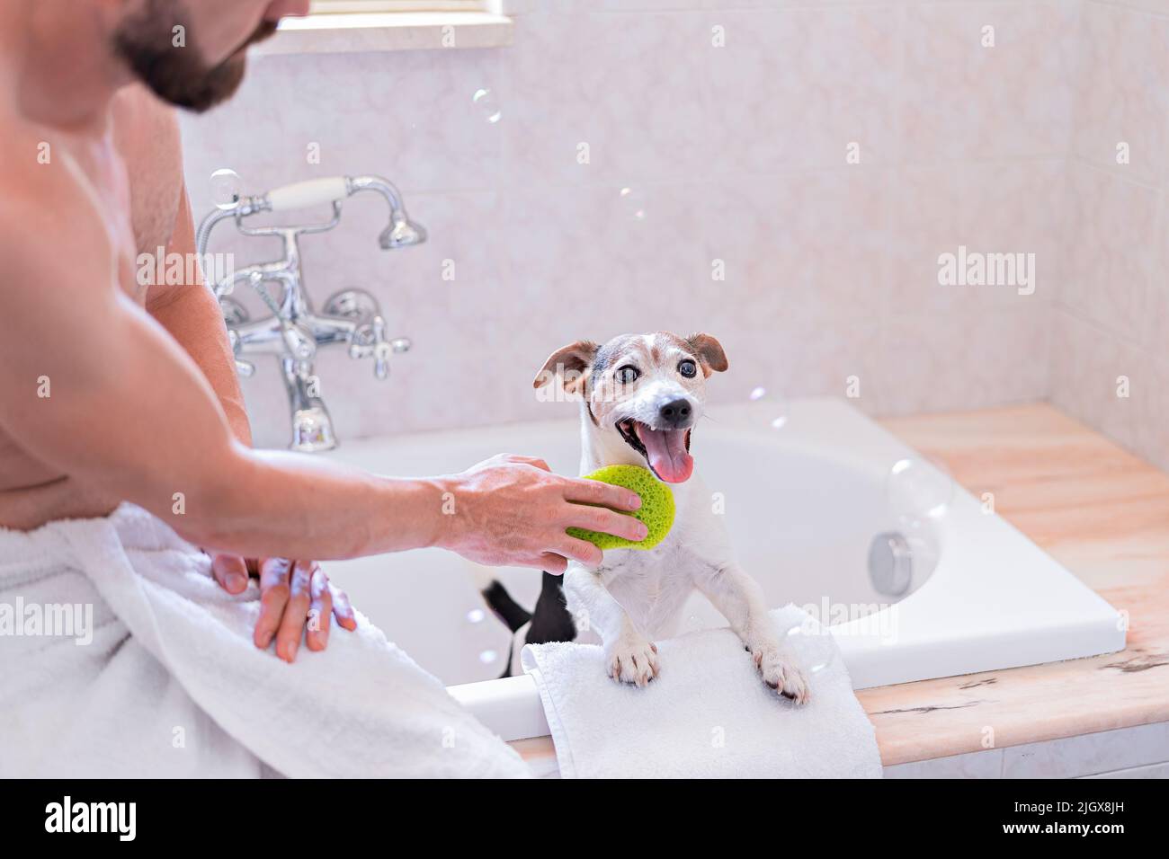 Funny dog with shower cap having fun with soap bubbles in bathroom ...