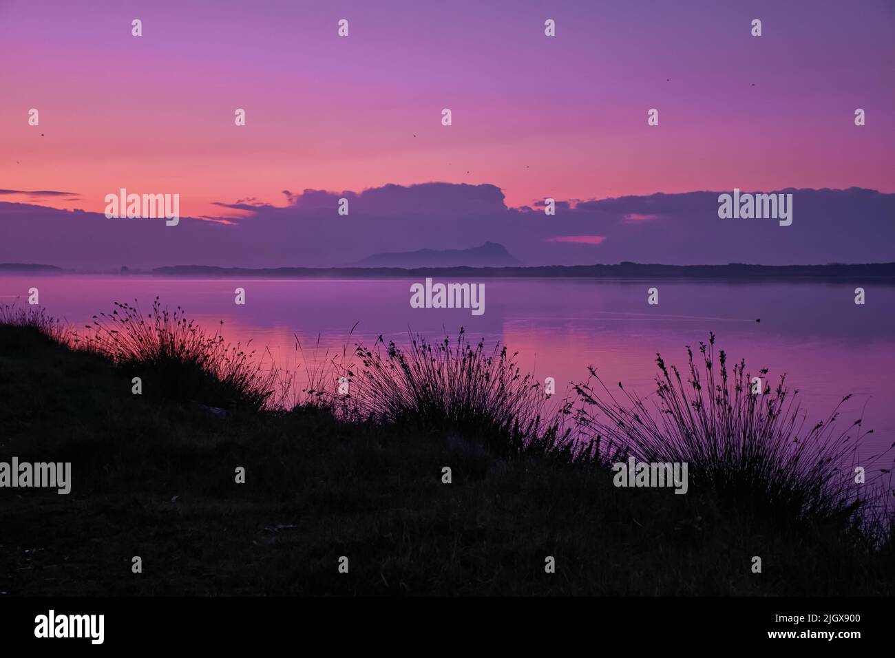 Lake fogliano at dawn, Circeo national park. Italy Stock Photo - Alamy