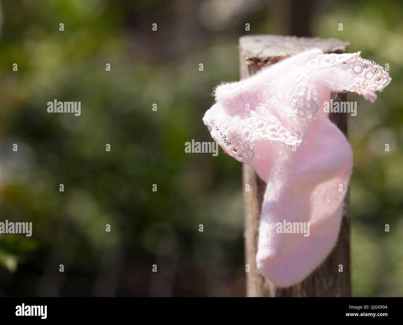 Loss of wool hi-res stock photography and images - Alamy