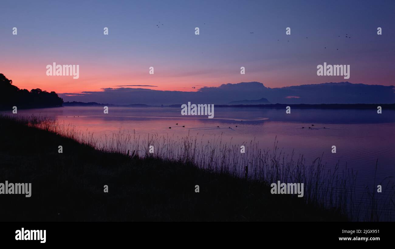 Lake fogliano at dawn, Circeo national park. Italy Stock Photo - Alamy