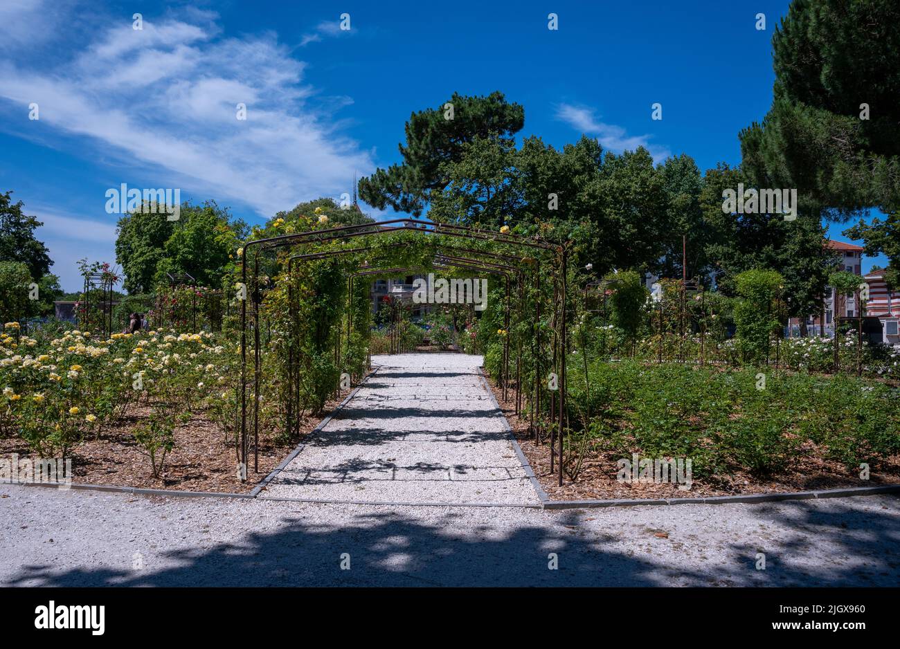 Health arcachon hi-res stock photography and images - Alamy