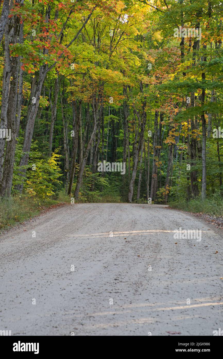 A dirt road through an autumn forest at Pictured Rocks National ...