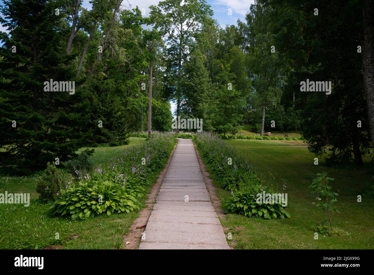 Curved sidewalk, path, trail at the empty street. Neighborhood scenery ...