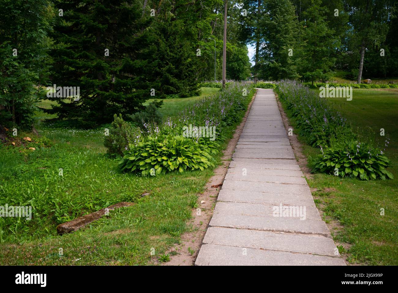 Curved sidewalk, path, trail at the empty street. Neighborhood scenery ...