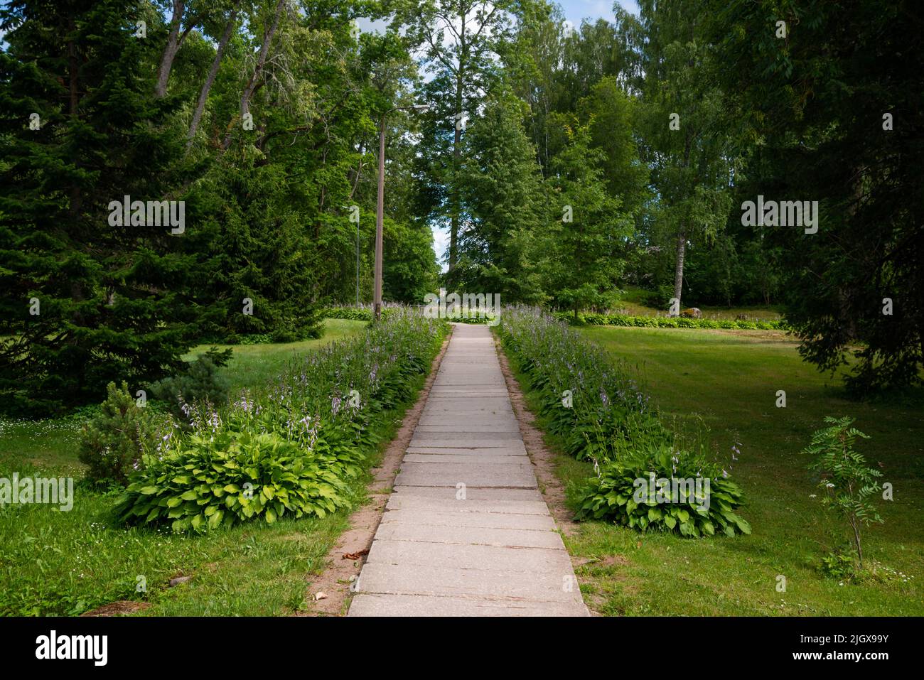 Curved sidewalk, path, trail at the empty street. Neighborhood scenery ...