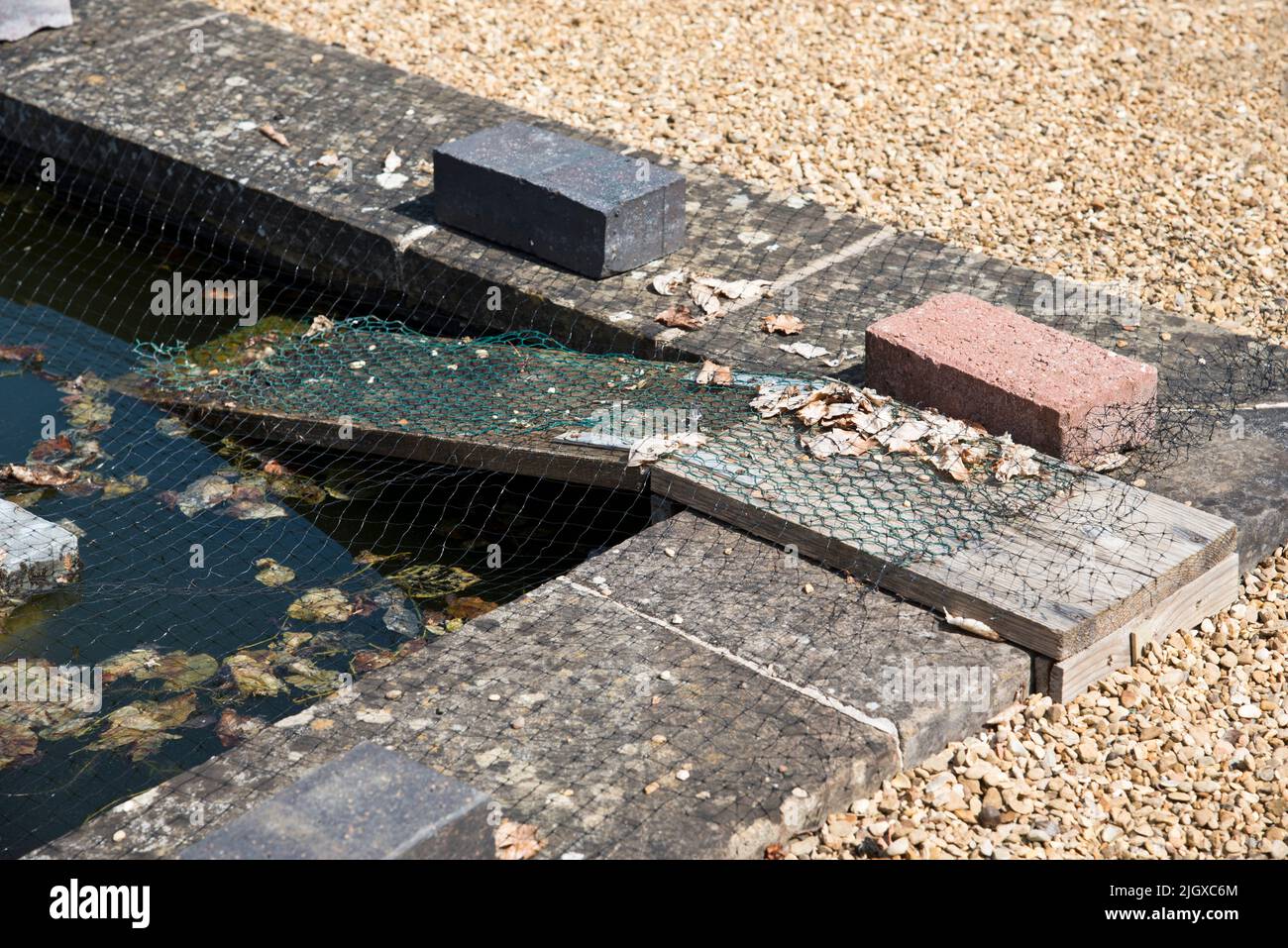Escape ramp for animals from a formal garden pond Stock Photo - Alamy