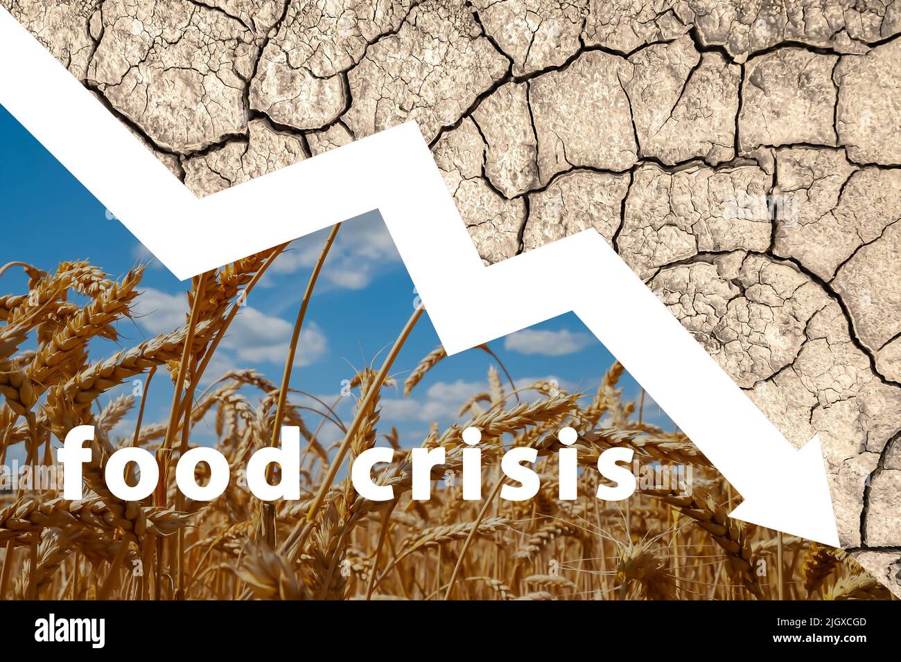 Grain hunger in the world food hi-res stock photography and images - Alamy