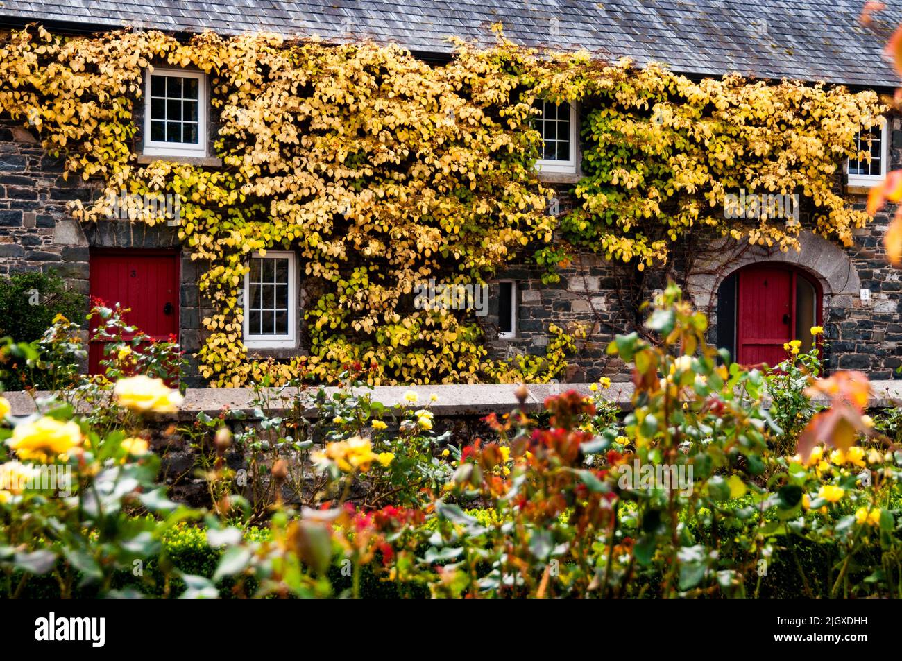 Courtyard of the Virginia Park Lodge in County Cavan, Ireland Stock ...
